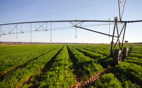 Ethiopia’s Farmer-Led Irrigation Model Boosts Crop Productivity ...